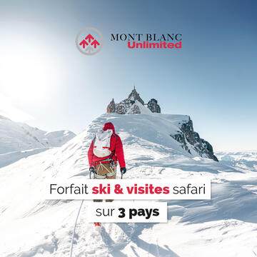 Winter skipasses and lift passes : Chamonix Mont Blanc