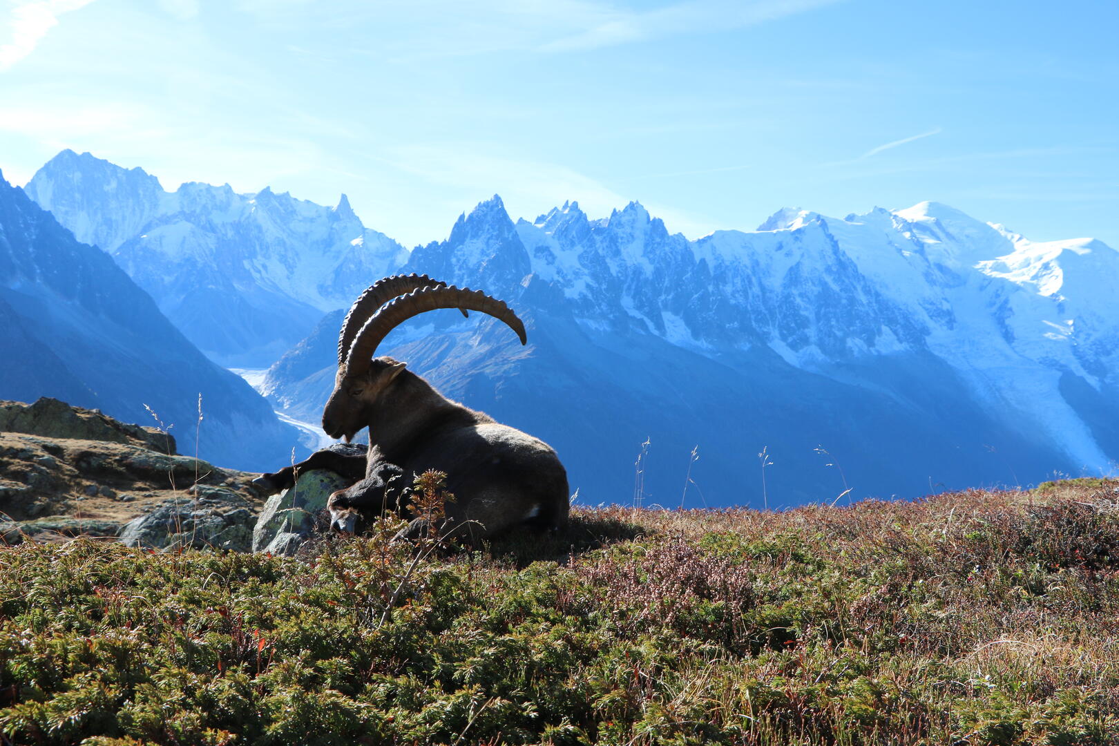 Autumn in the Chamonix Valley : Chamonix Mont Blanc
